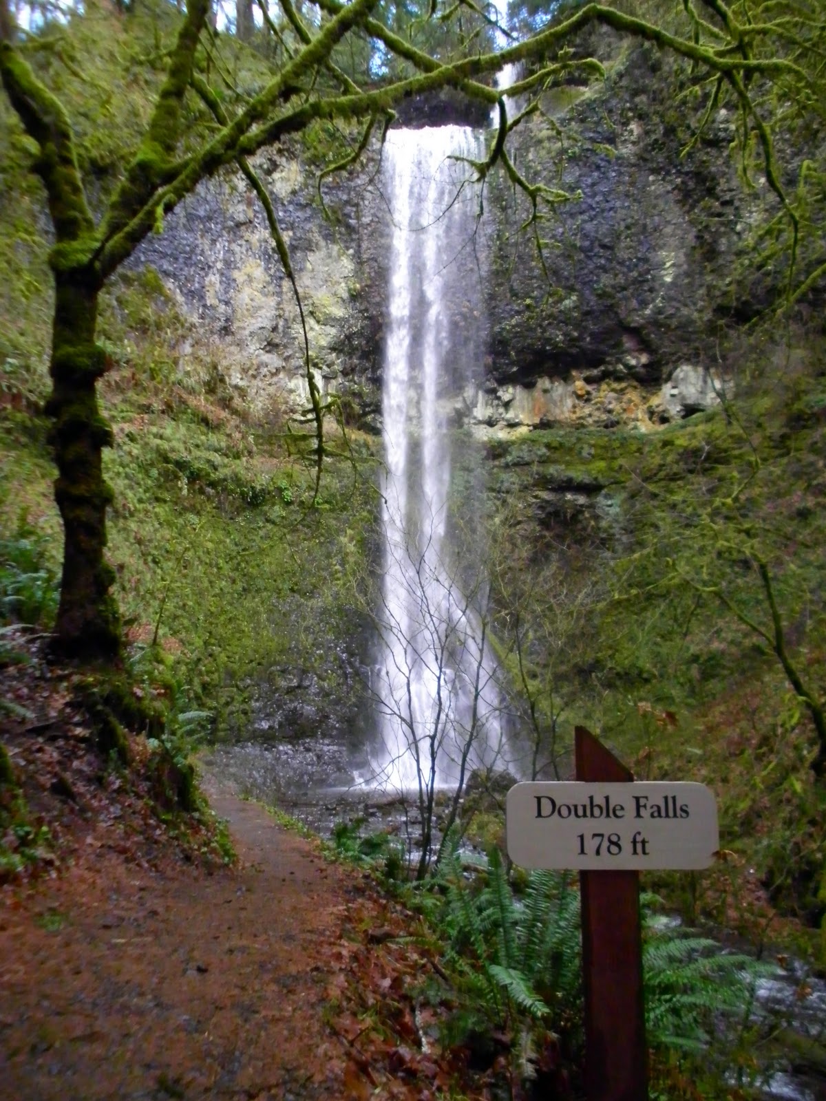 Black Watch Sasquatch: Silver Falls State Park - Silverton, Oregon