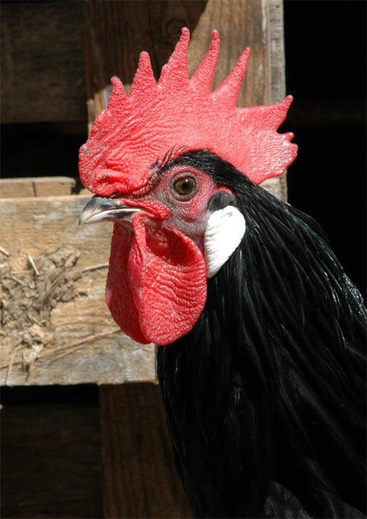 La Pasión Cultural...: 07-may-2011