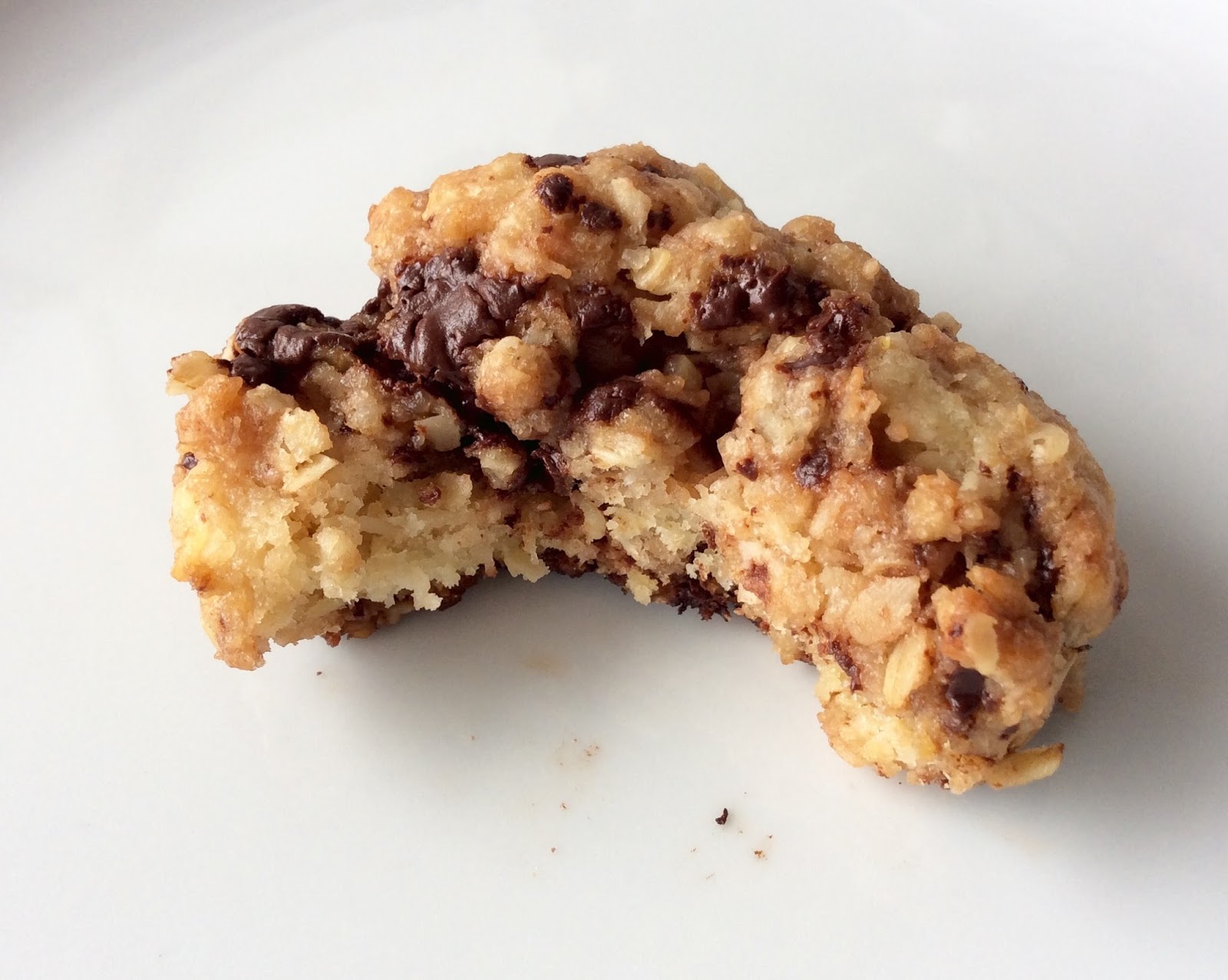 Biscoitos de aveia, chocolate e coco | flor do brownie