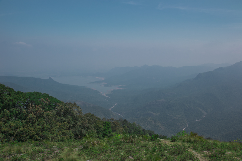 Tantalizing Tea Estates