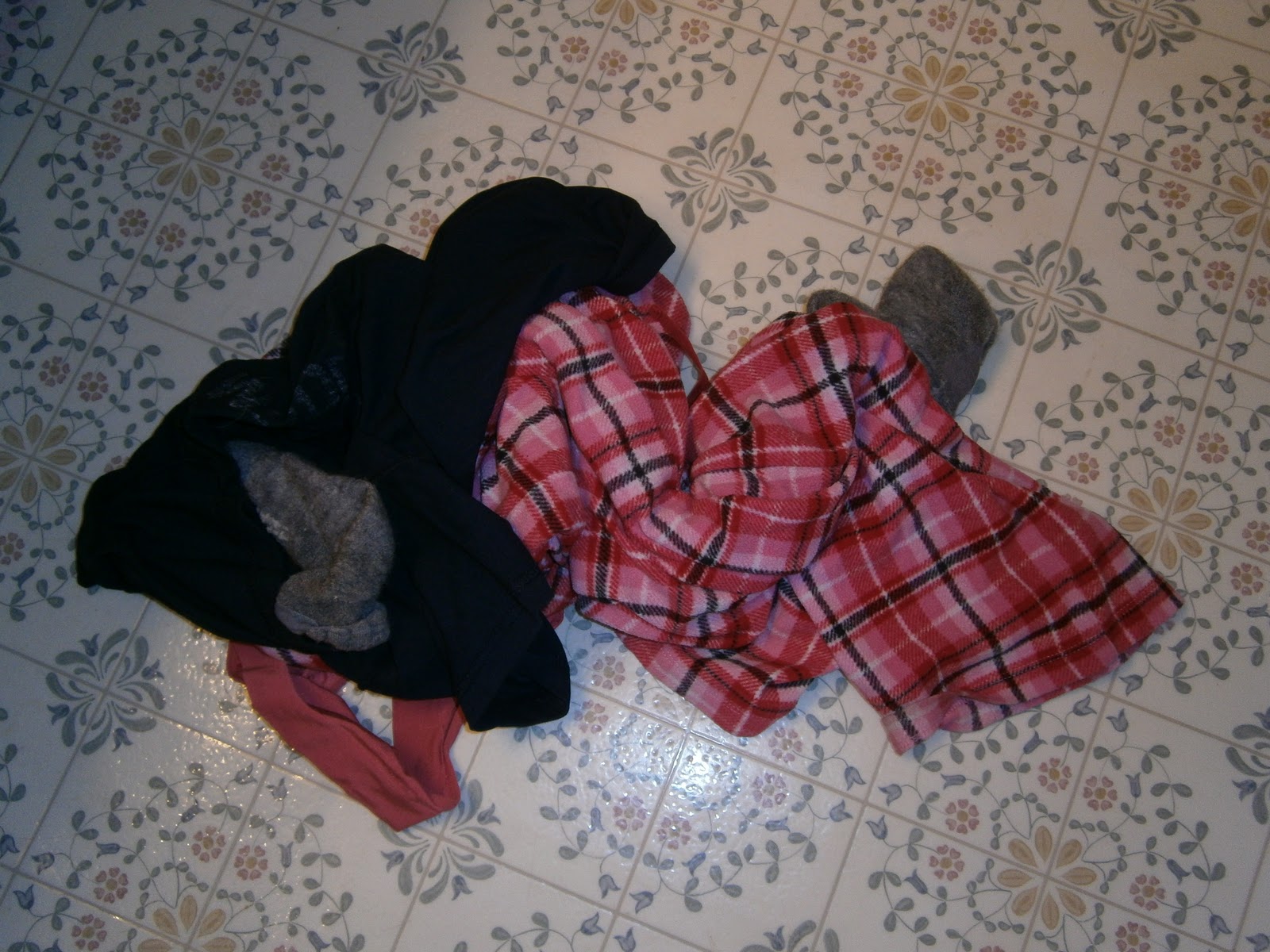 Train-n-Tri: Dirty Girl