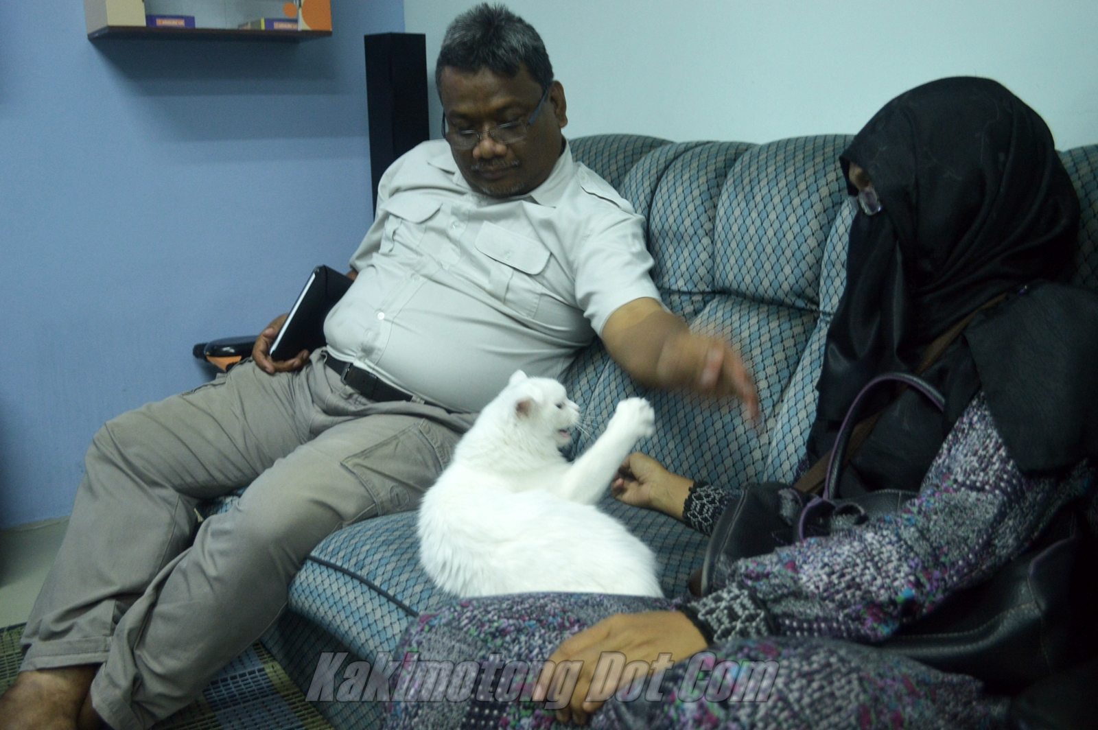 Kisah Si Jamek, Seekor Kucing Malang Yang Telah Didera Sehingga Patah ...