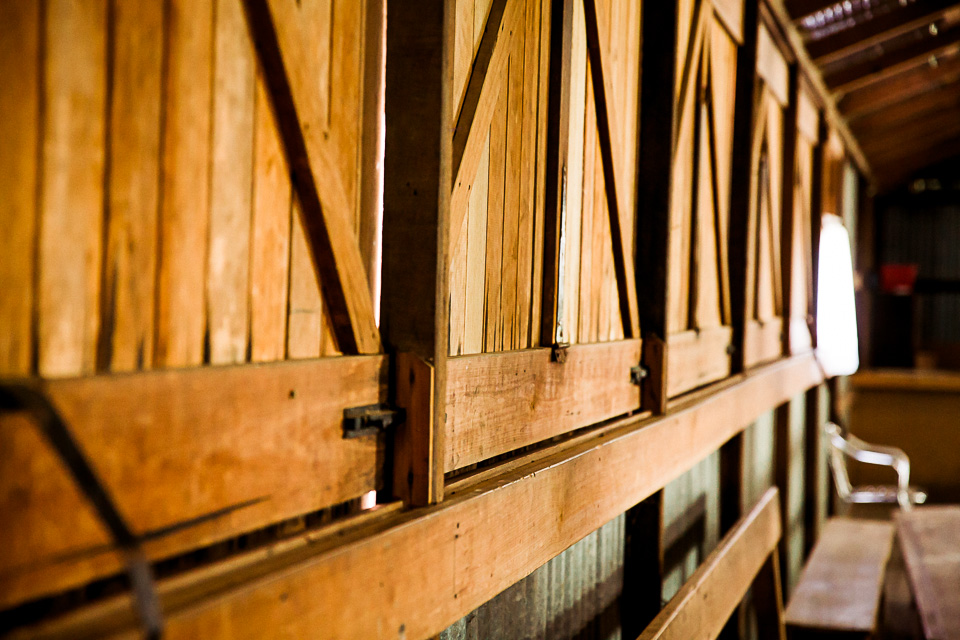 Ngaire Naran Photographer: Hall Hunting!