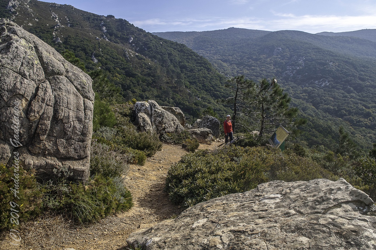 .: SUBIDA AL PICACHO (ALCALÁ DE LOS GAZULES) (18 ENE 2019)