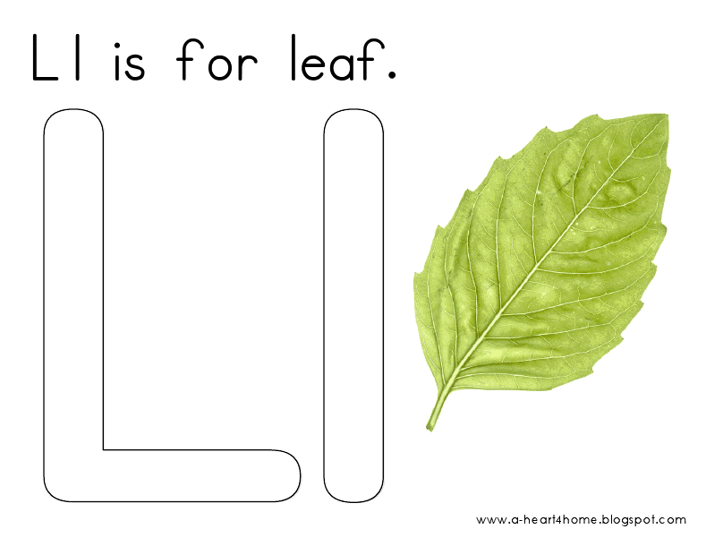 Leaf