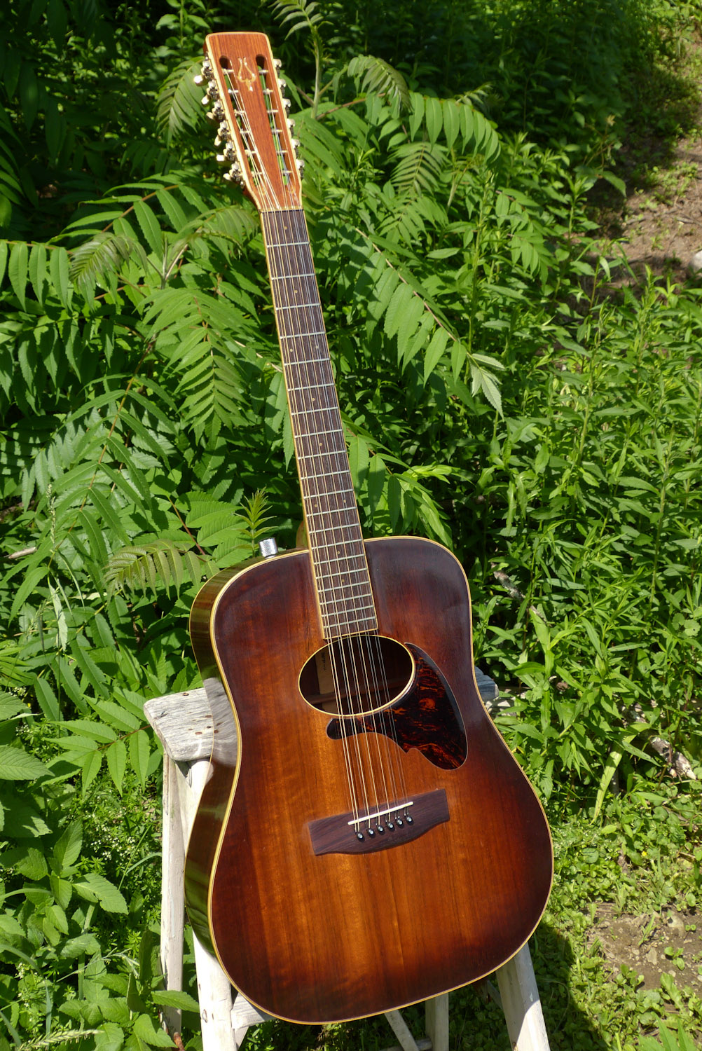 1980 Daion The 80 12-String Dreadnought Guitar