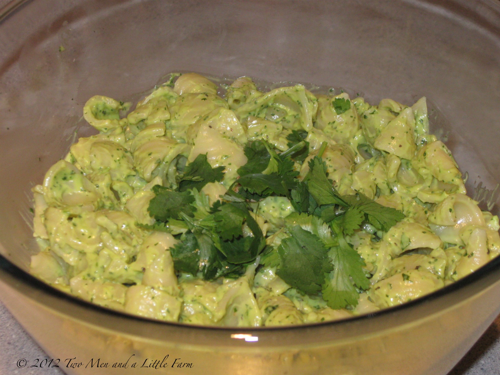 Two Men and a Little Farm: CREAMY AVOCADO CILANTRO PASTA RECIPE