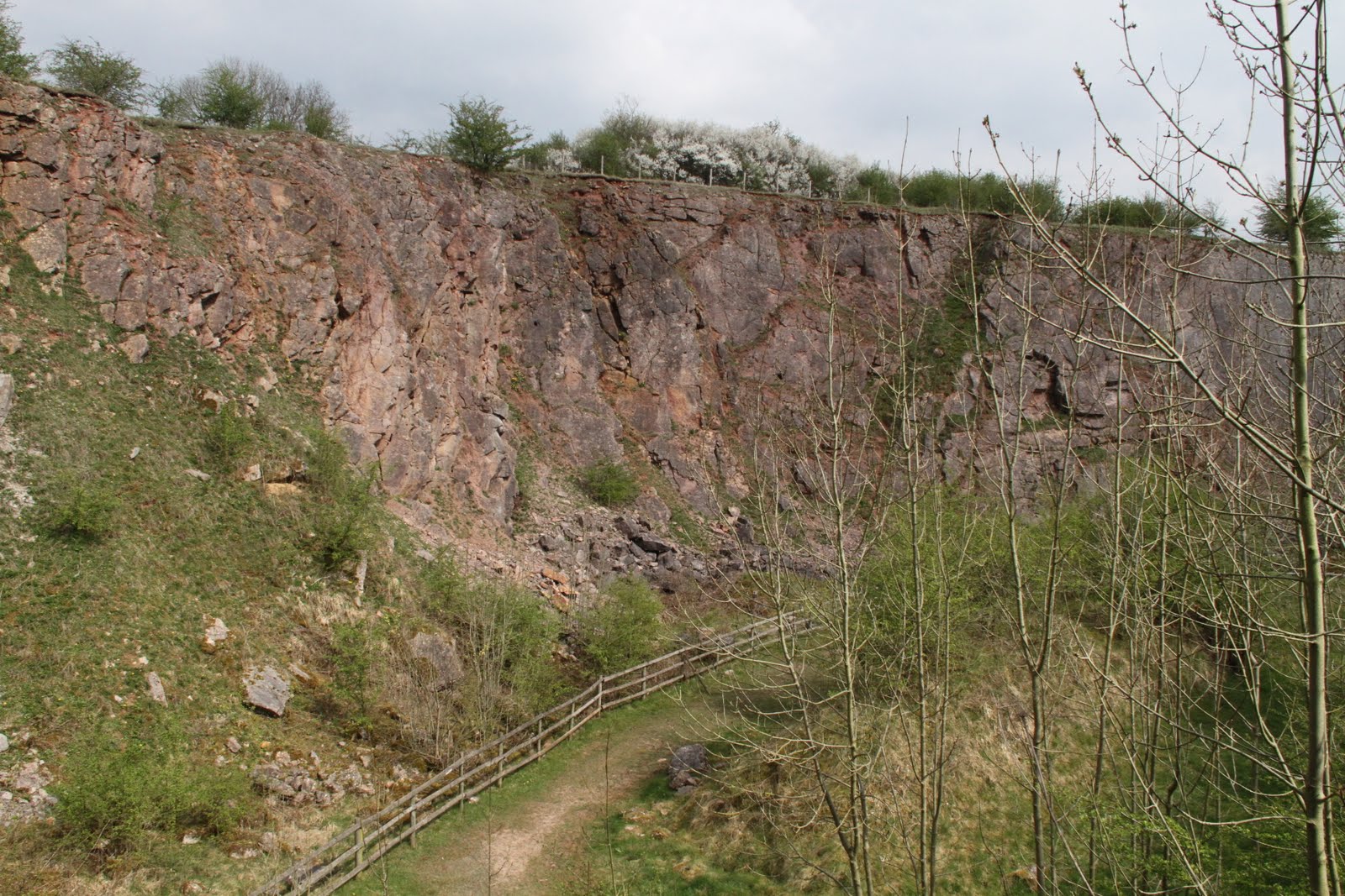 beyond my gate: April 2011