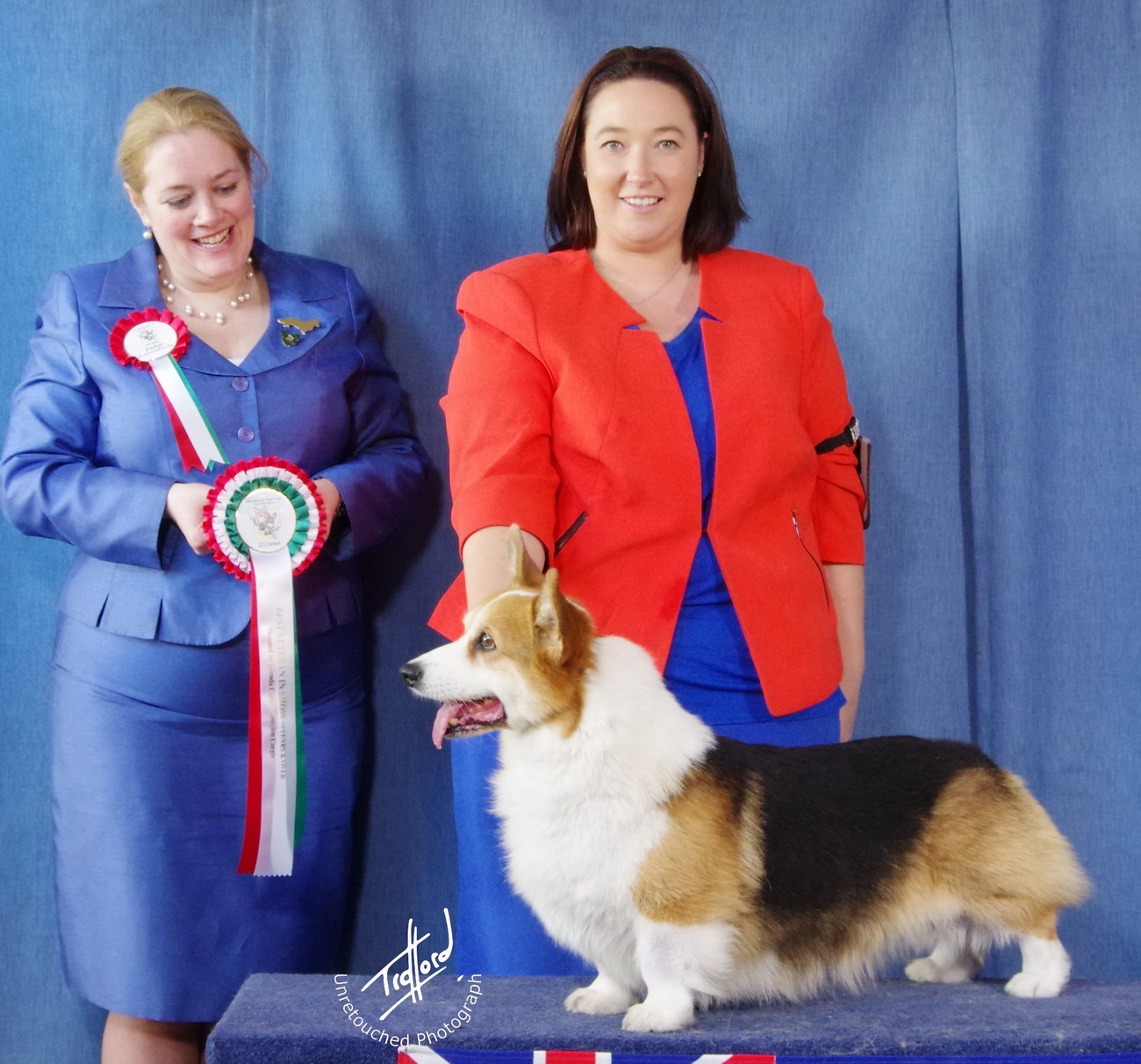 TraffordPhotos - Australian Dog Show Photos: 16th NATIONAL WELSH CORGI ...