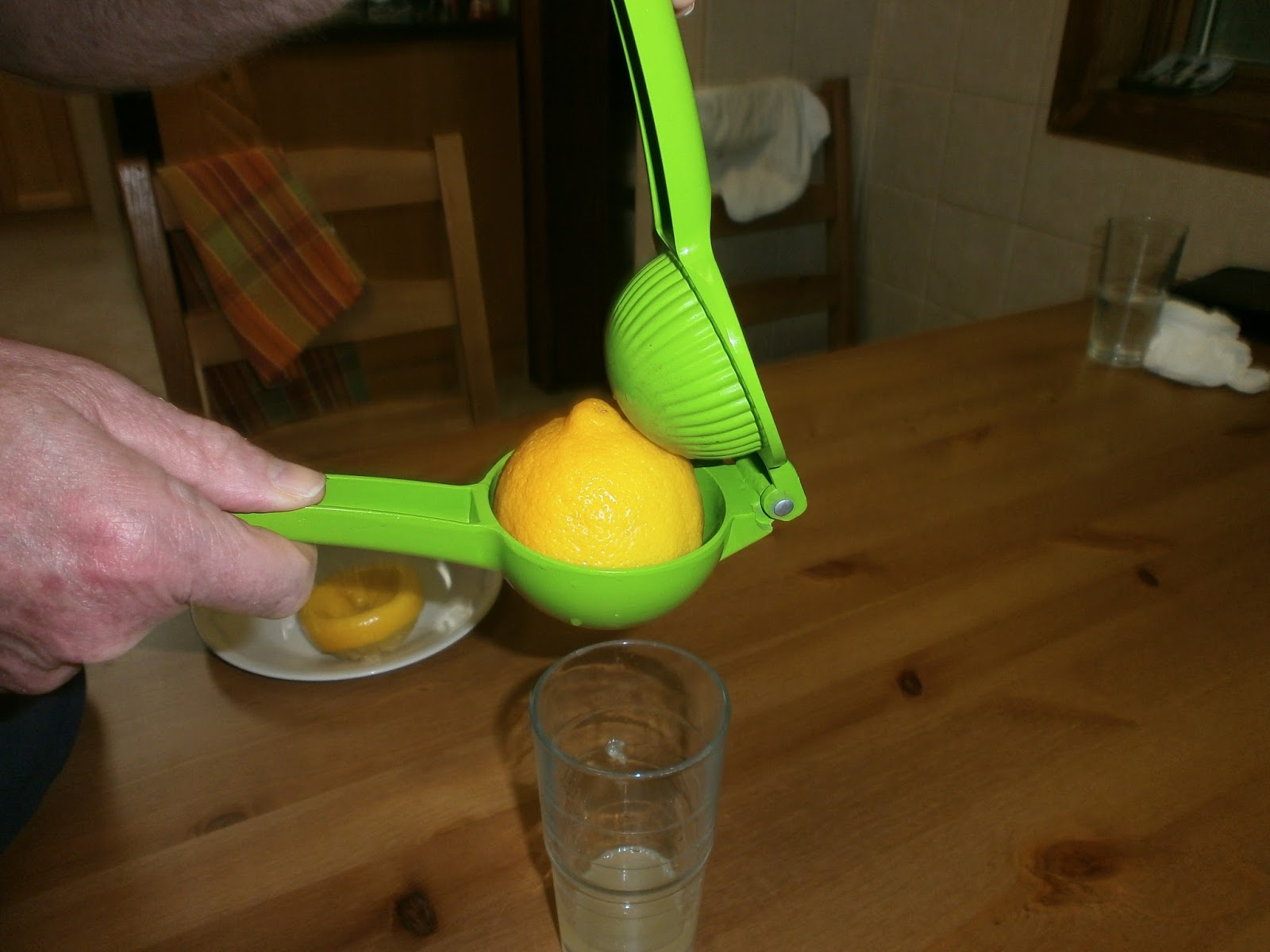 Primal Maya: How to make HEALTHY Lemonade (With Pictures) [SUGAR FREE]