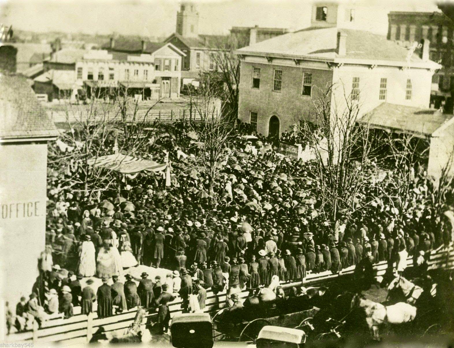 The Chubachus Library of Photographic History: View of a Large Crowd ...
