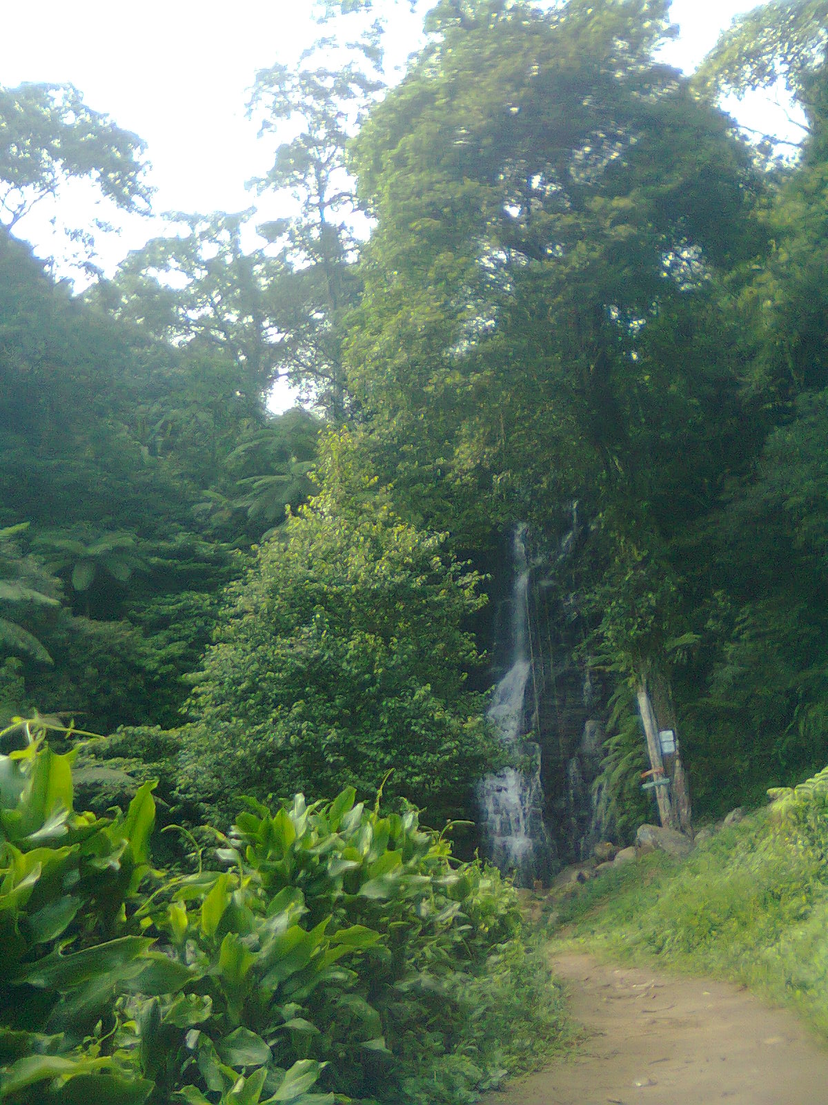 Wanayasa: CURUG CIPURUT
