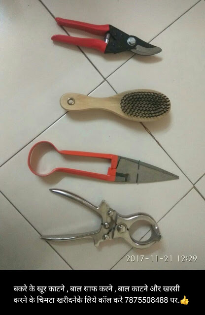 Goat Farming Tools Online - Goat Farming