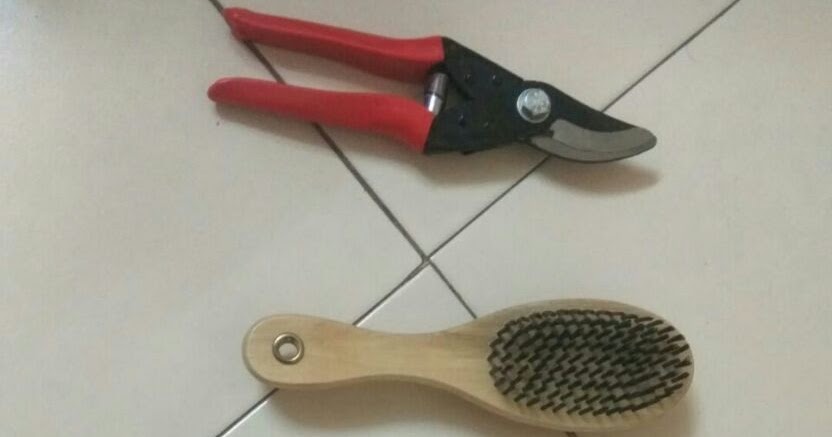 Goat Farming Tools Online - Goat Farming