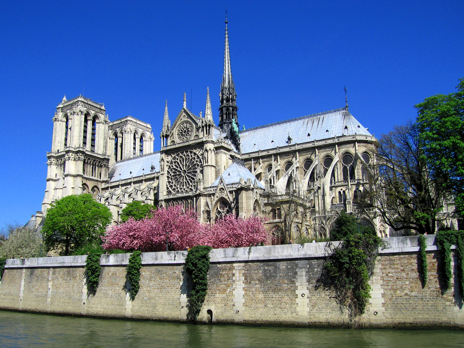 TCC: Paris - Today we're visiting Notre Dame