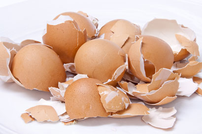 CozyExpressions: Egg Shells for your Garden