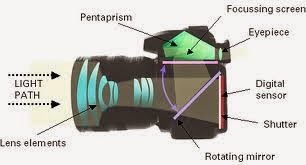 SLR and DSLR, What difference does it make? ~ Attractive Inspiration ...