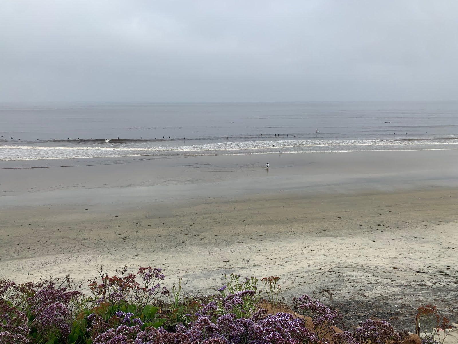 Encinitas Undercover: Moonlight Beach opens despite deadly Surfing ...