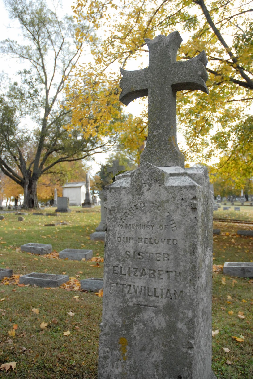 Blackberry Morning: Meet Me in the Graveyard