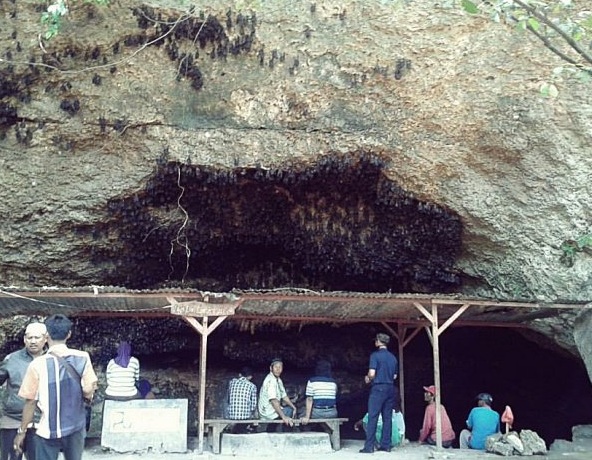 Kisah Nyata Misteri Legenda Goa Ngerong Tuban dan Mitos Ikan Piaraan ...