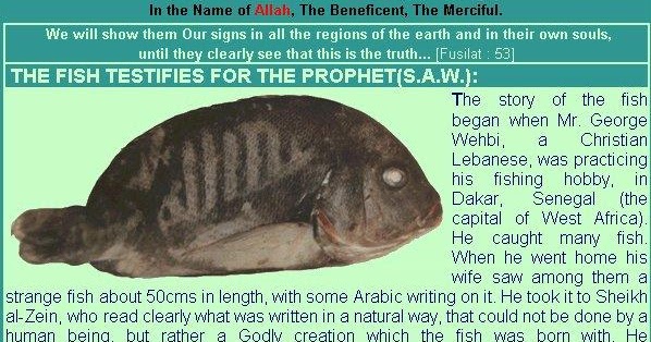 Miracles Images: Miracles Images of allah