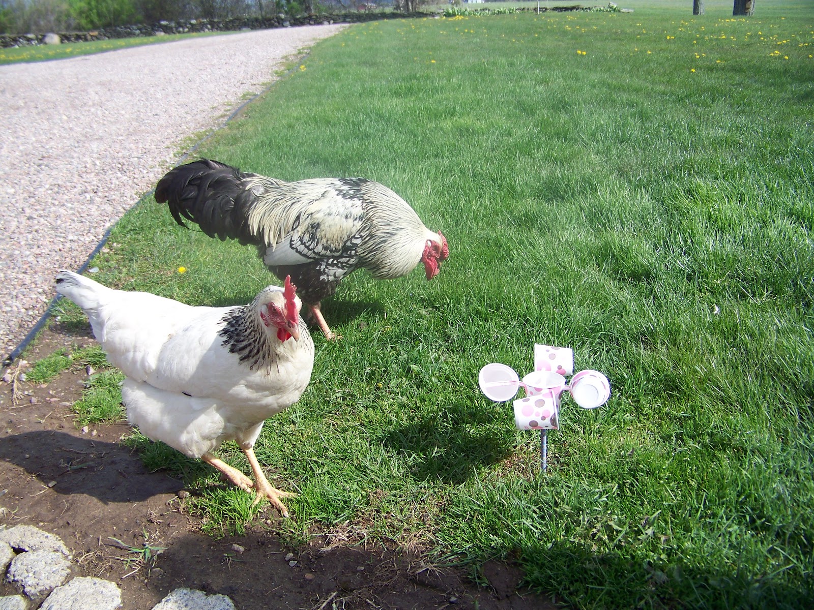 My Four Girls: homemade anemometer