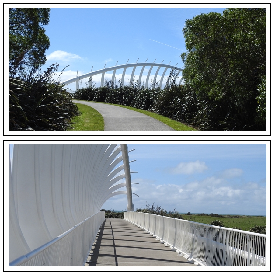 photographing New Zealand: Te Rewa Rewa Bridge