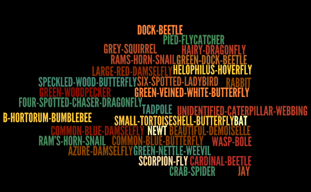 Wild and Wonderful: June 2011