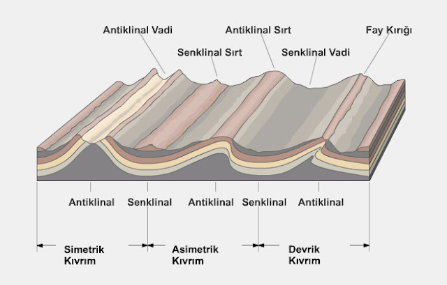 Jeolojik Bilgiler: ANTİKLİNAL VE SENKLİNAL