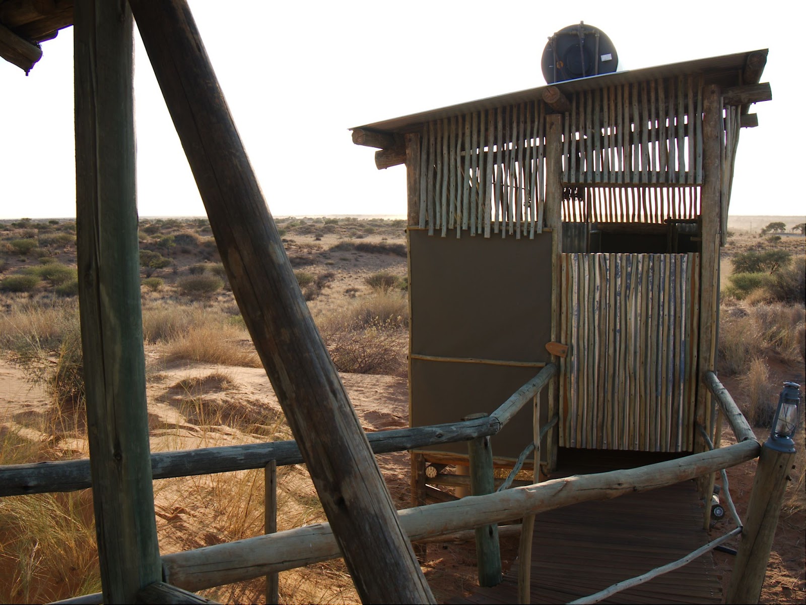 Stevenzo - Steven Adler's