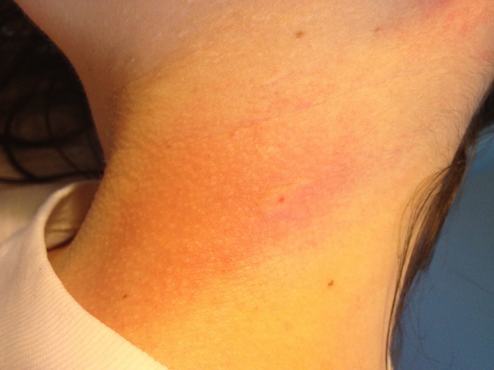 Becoming Beekeepers: 2012