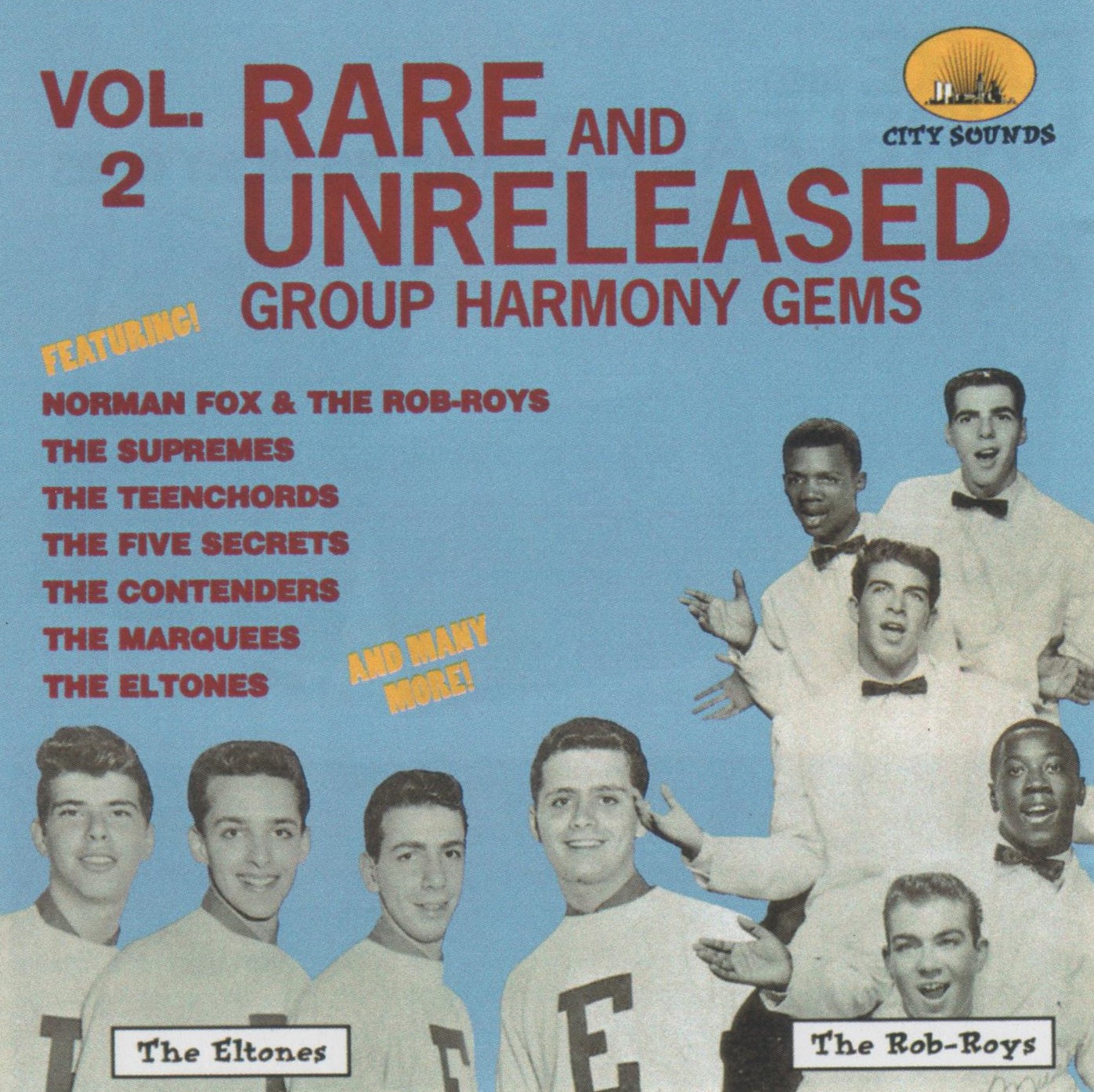 Doo Wop n Soul Oldies: Rare And Unreleased Group Harmony Gems