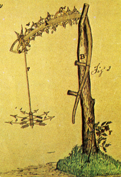 Drawing America: John Muir's Natural Ability