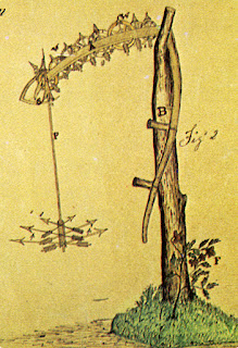 Drawing America: John Muir's Natural Ability