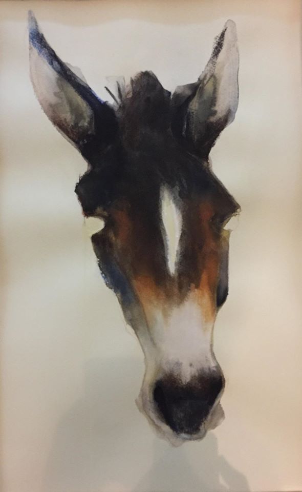 THE VIEW FROM FEZ: Equid Opening - a Great Success