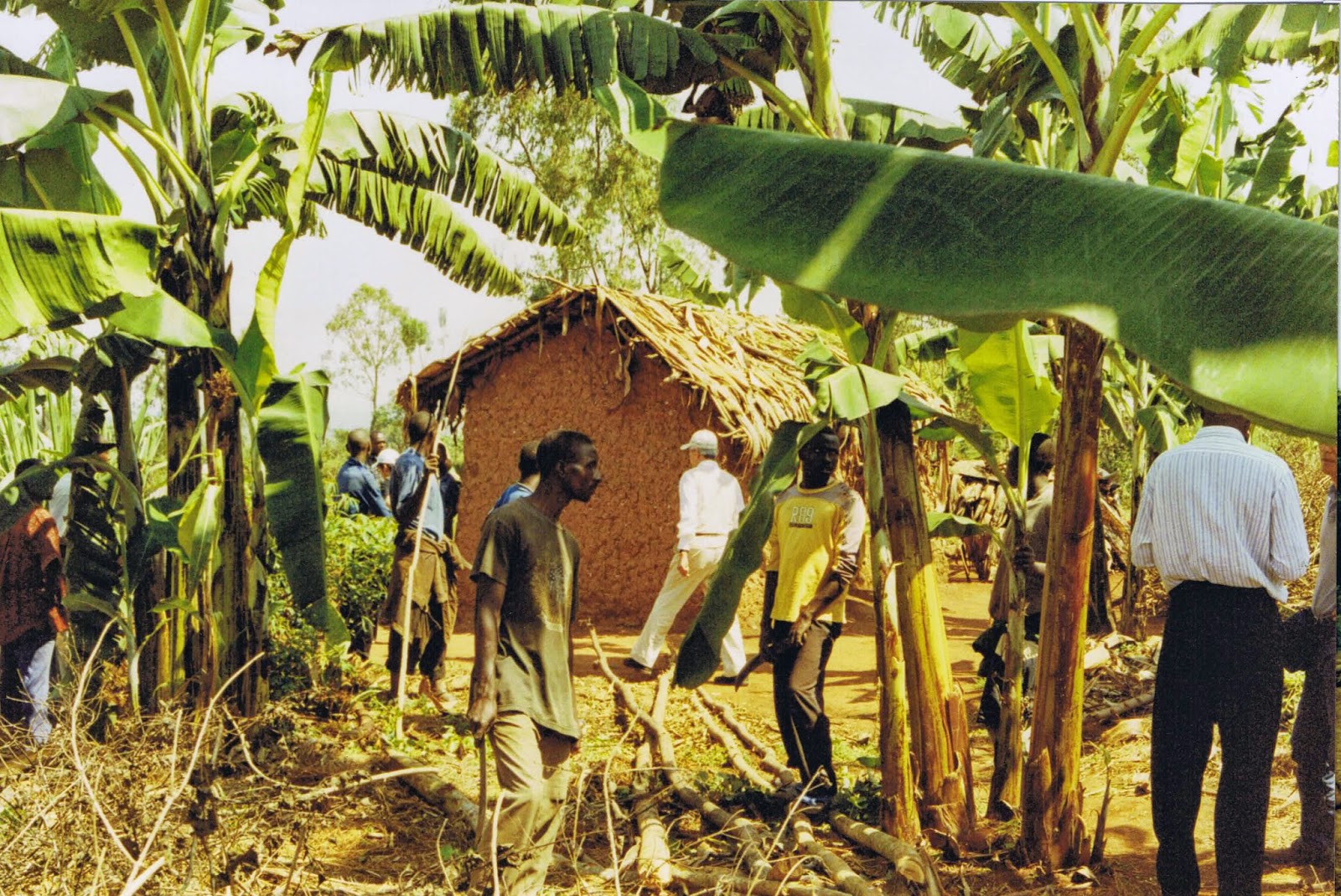 Architecture of Rapid Change and Scarce Resources - ARCSR - Rwanda ...