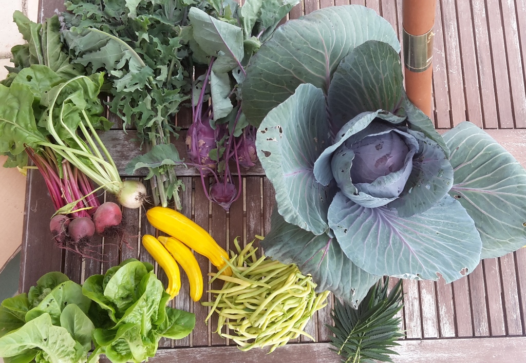 An English Homestead: This Weeks Veg Box