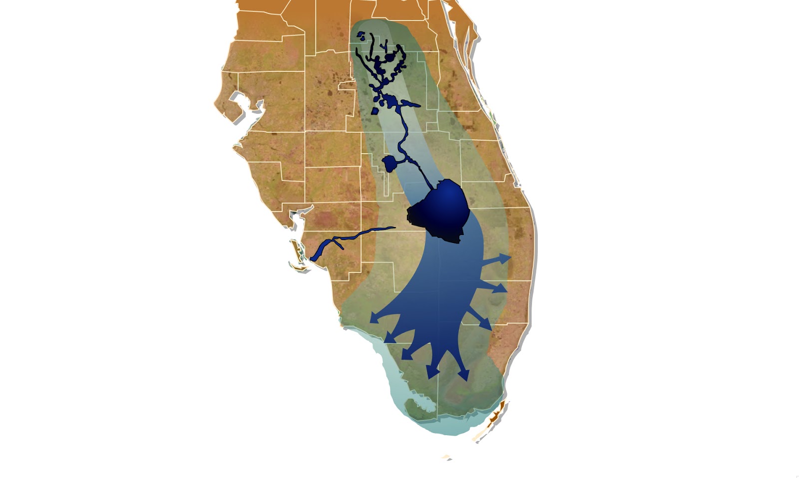 What does it mean to restore the Florida Everglades?