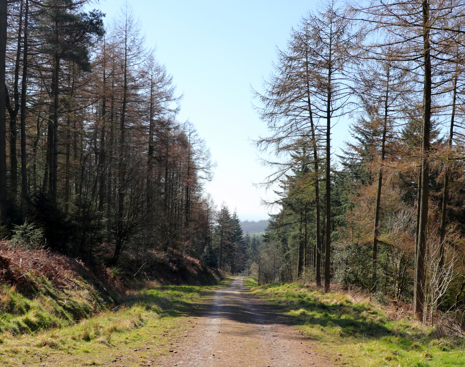 Walking in North Yorkshire
