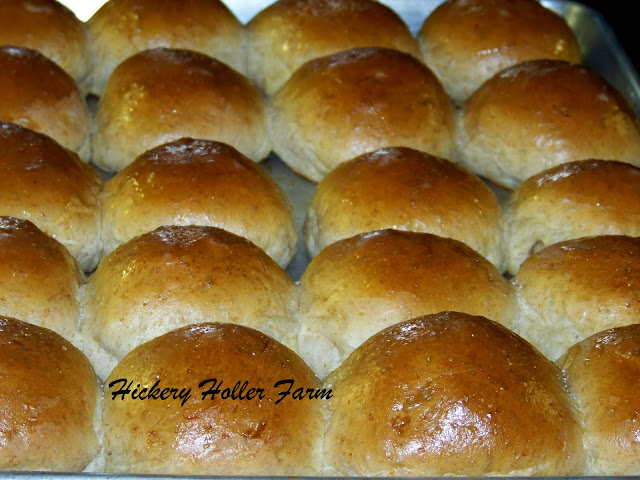 Hickery Holler Farm: Making Whole Wheat Buns