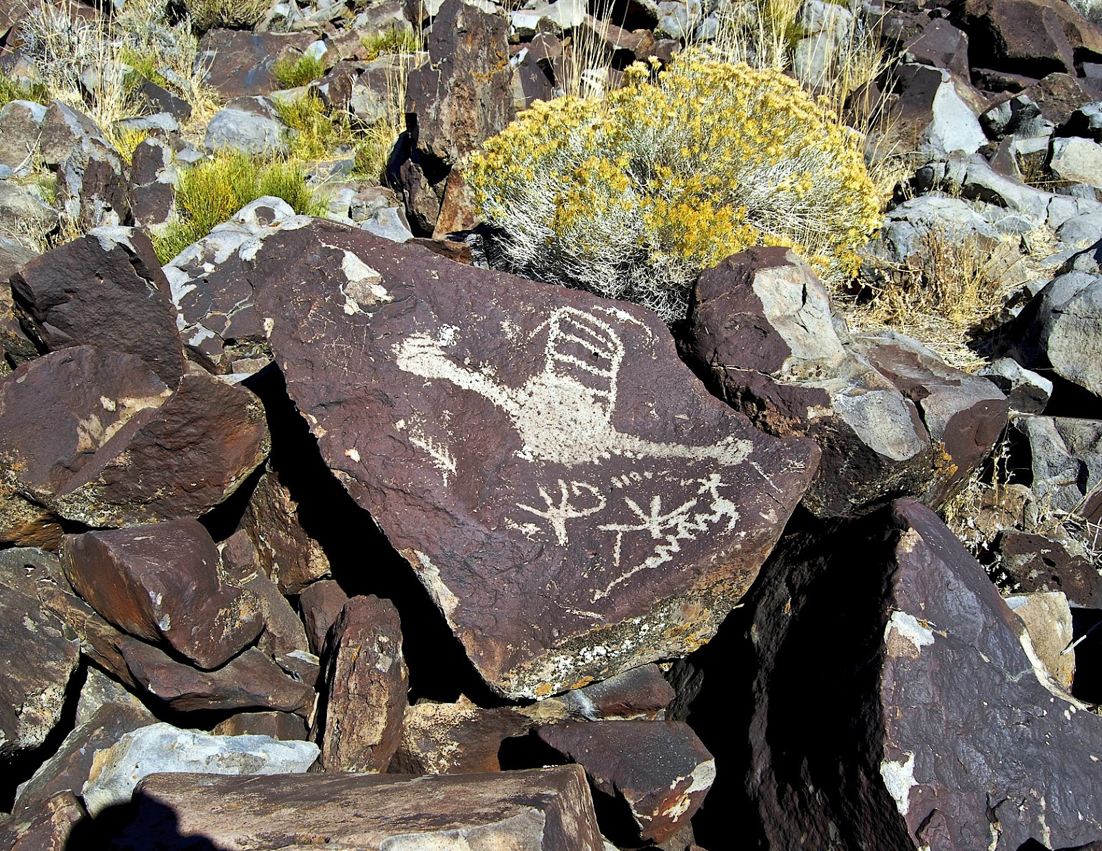 The Duffel Bag: * Lagomarsino Canyon Hike and Petroglyph Site