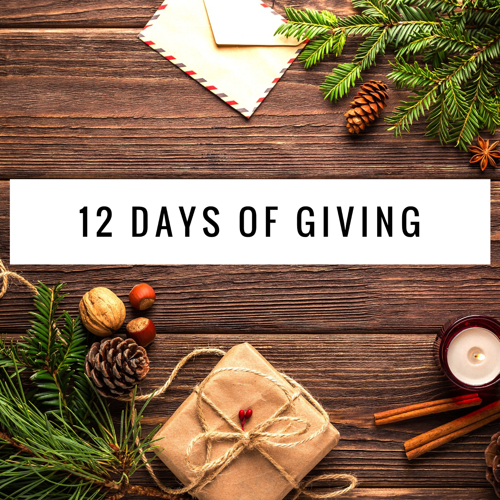 Abby the Librarian: Twelve Days of Giving