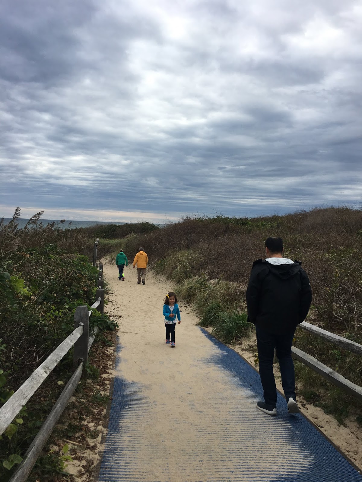 Away We Go!: Cape Cod Nature Hikes (Wellfleet and Eastham)