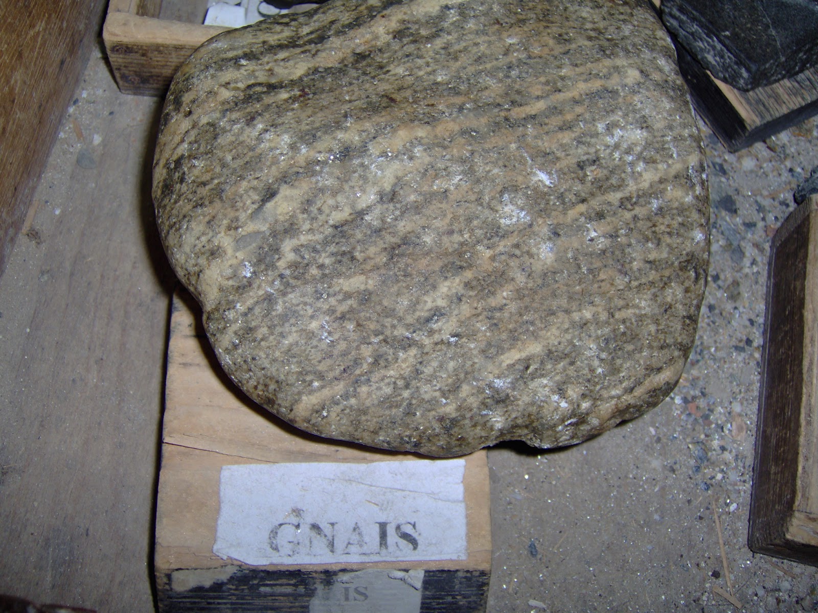 Silvicultura Brasov: Poze geologie ( roci )