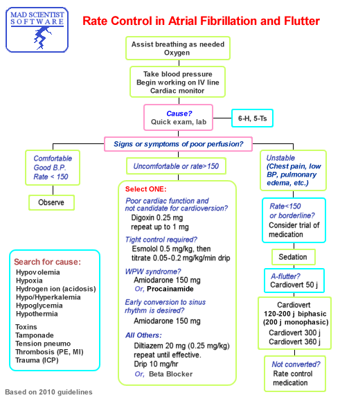 TENTANG JANTUNG: HEART RATE CONTROL IN ATRIAL FIBRILASI AND FLUTTER ...
