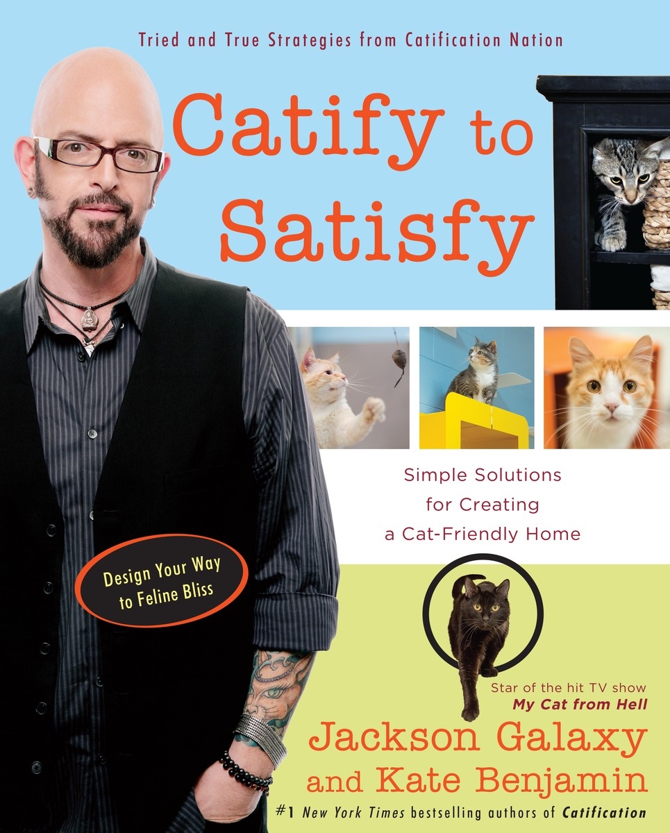 Cat and DOG Chat With Caren: CATIFY TO SATISFY: Simple Solutions for ...