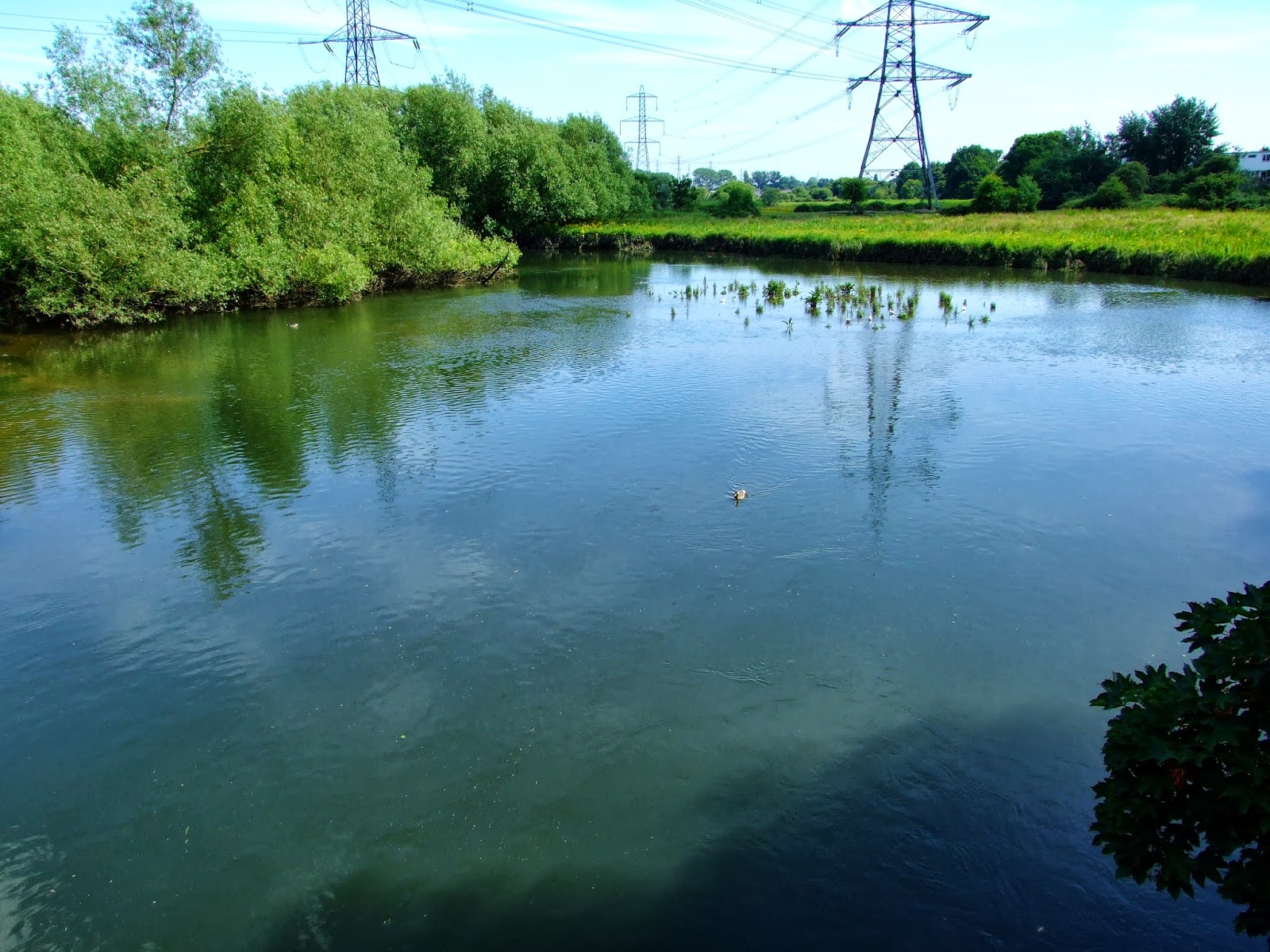 Canoeing and Kayaking on the River Itchen Navigation