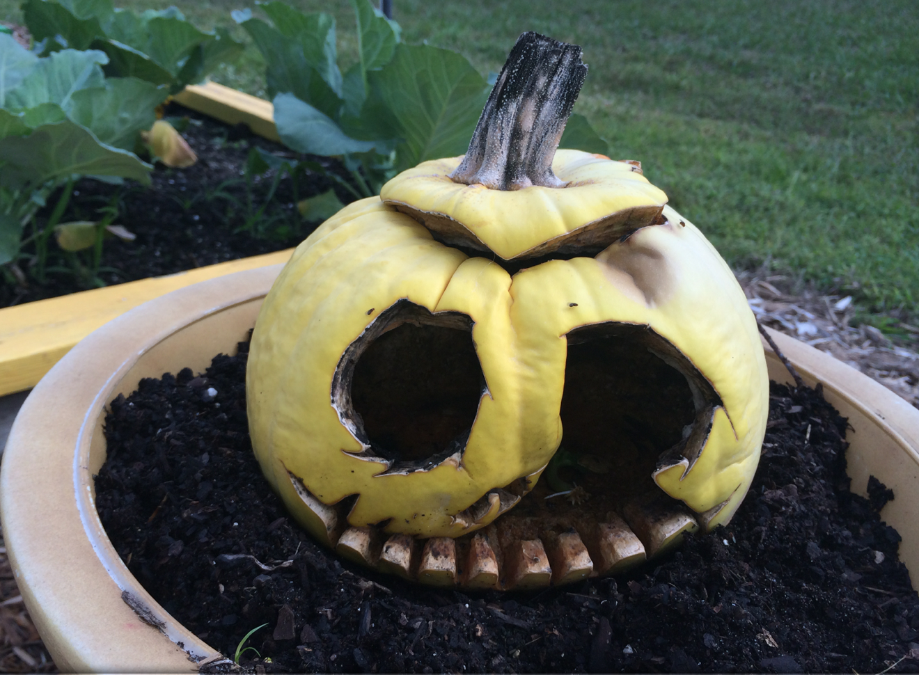 Learning Lessons With Amy Labrasciano: Pumpkin Jack