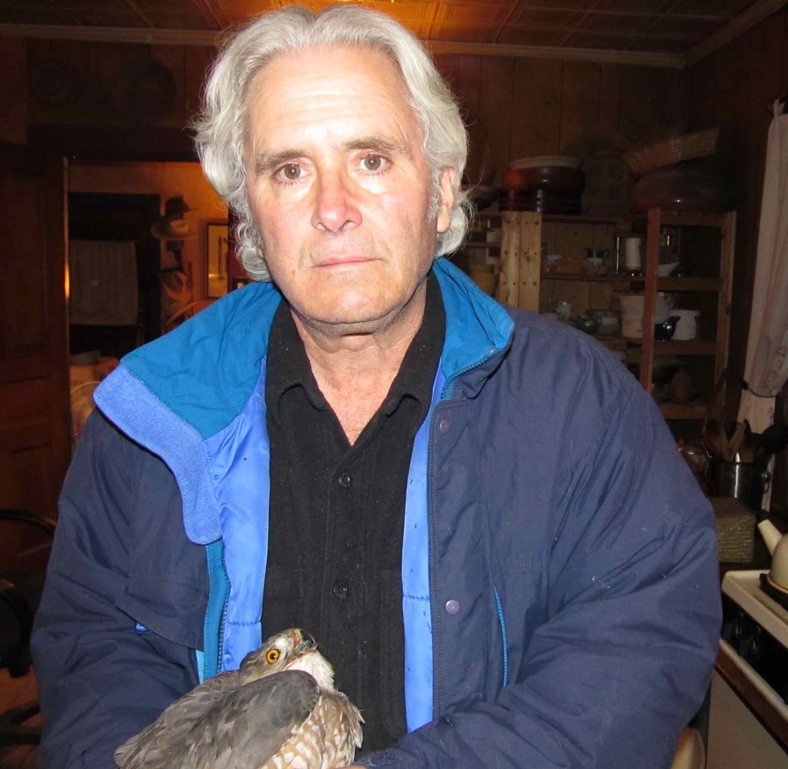 Stephen Bodio's Querencia: Haggard