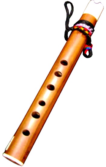 Andean music : "La música siempre será la libertad del alma"